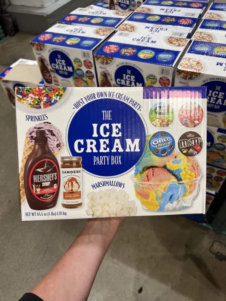 Costco Ice Cream Party Box (A Fun Idea!)